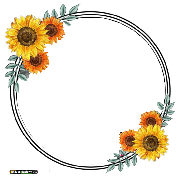 Add Stylish Circle Border To Your Instagram DP | ImagesPlatform