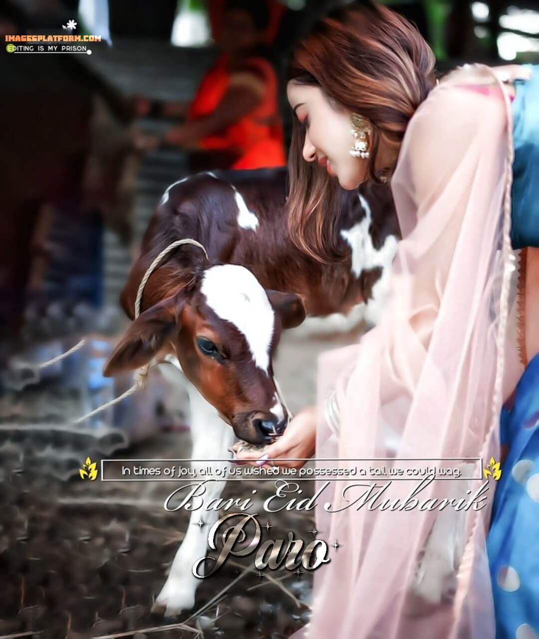 Bari Eid Mubarak And Paro Name Dp